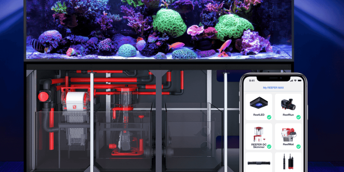 Red Sea Reefer Max — Ocean Reefs Marine Aquariums