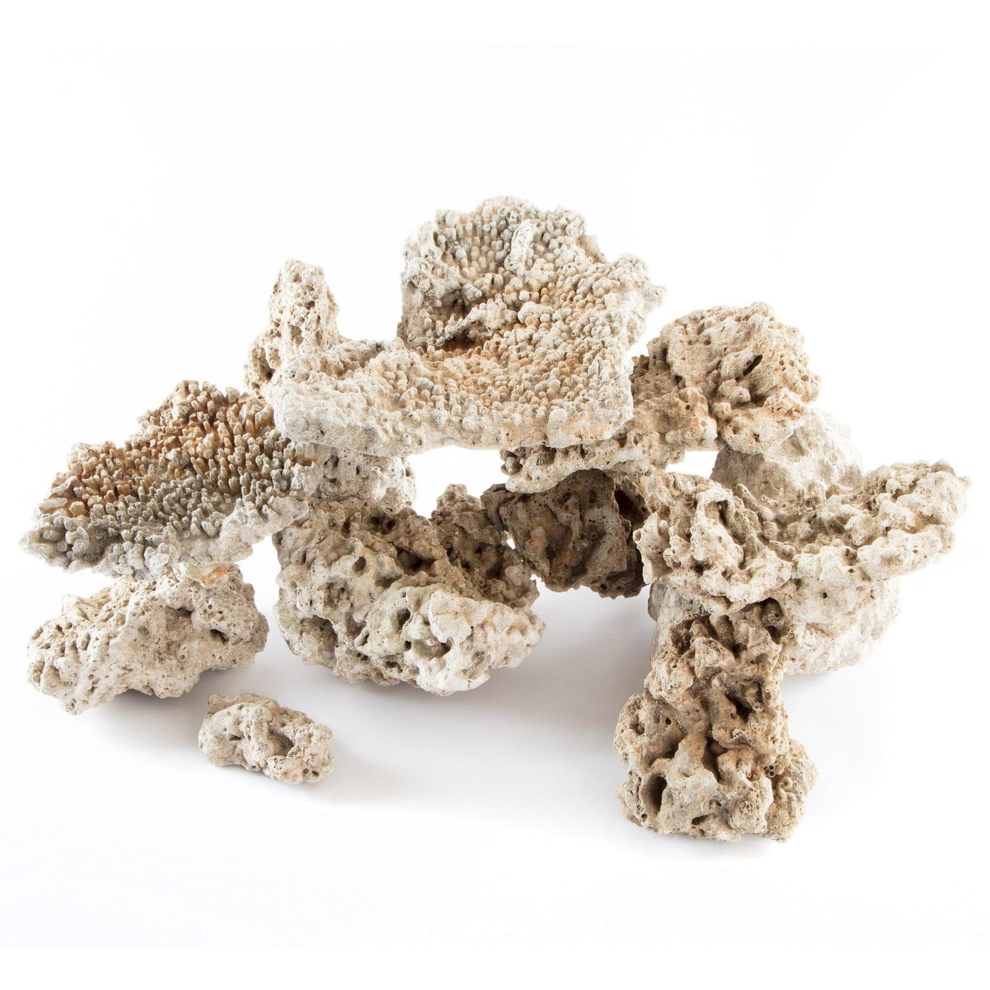 Base Rock — Ocean Reefs Marine Aquariums