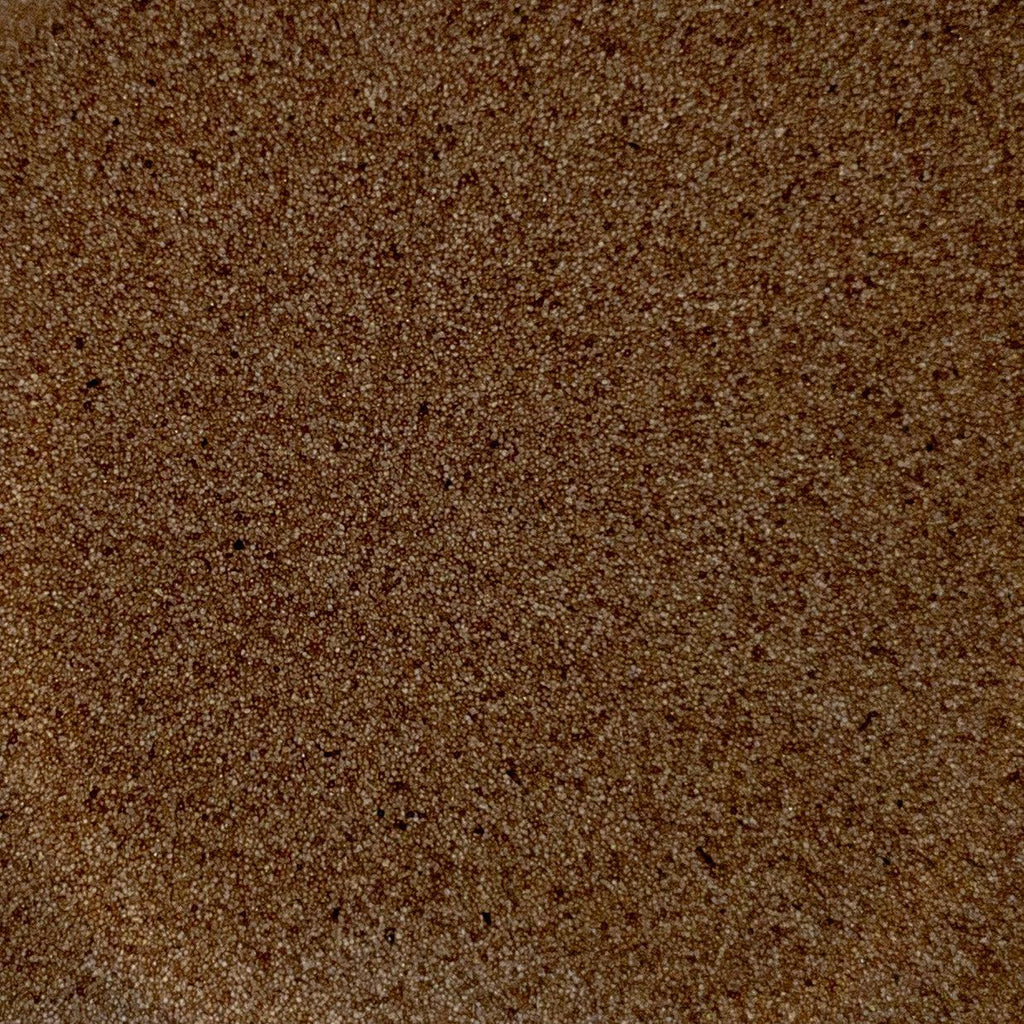 Ocean Reefs Marine Aquariums | Saltwater Fish, Coral and Equipment